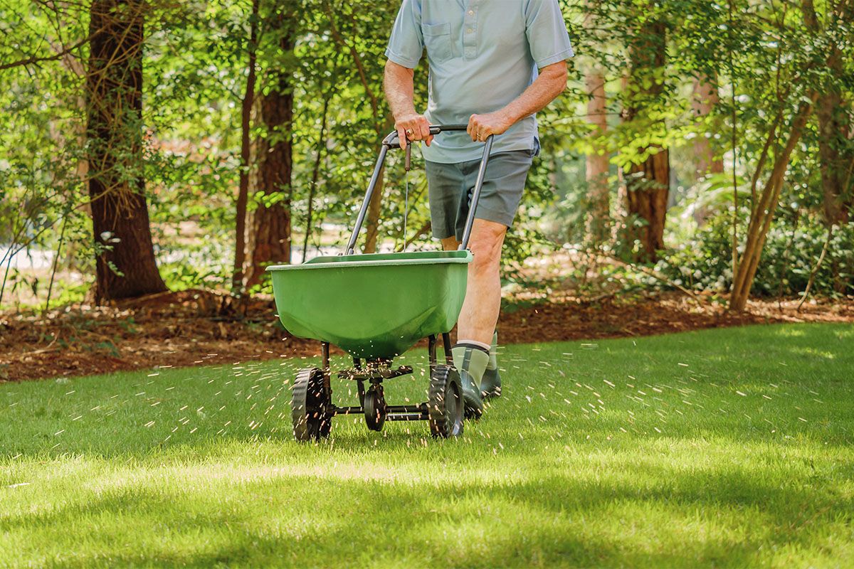 How to Choose a Lawn Fertilizer - Jeremy's Landscaping